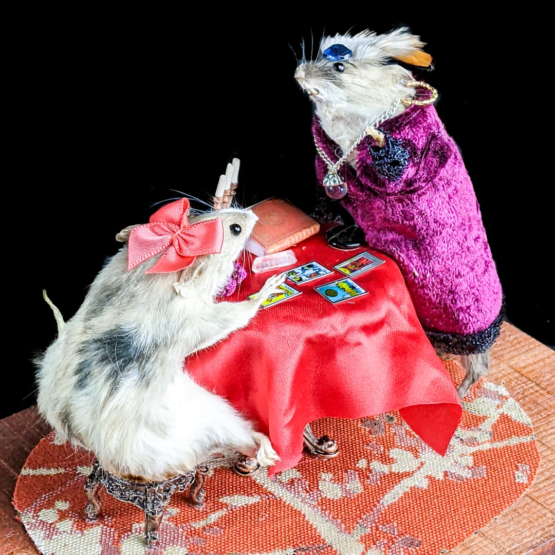 Mouse Tarot Reader Taxidermy Oddities Psychic Witchy Curiosities Séance ...