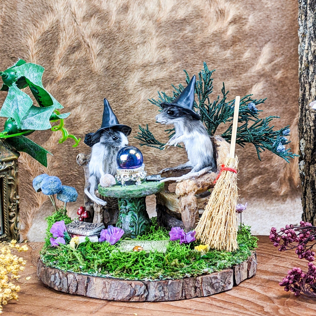 Two Witch Mice Garden Taxidermy Oddities Curiosities Decor ...