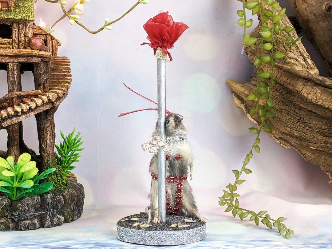 V36f Stripper Mouse Pole Burlesque Showgirl Taxidermy Oddities Curiosities Decor Display