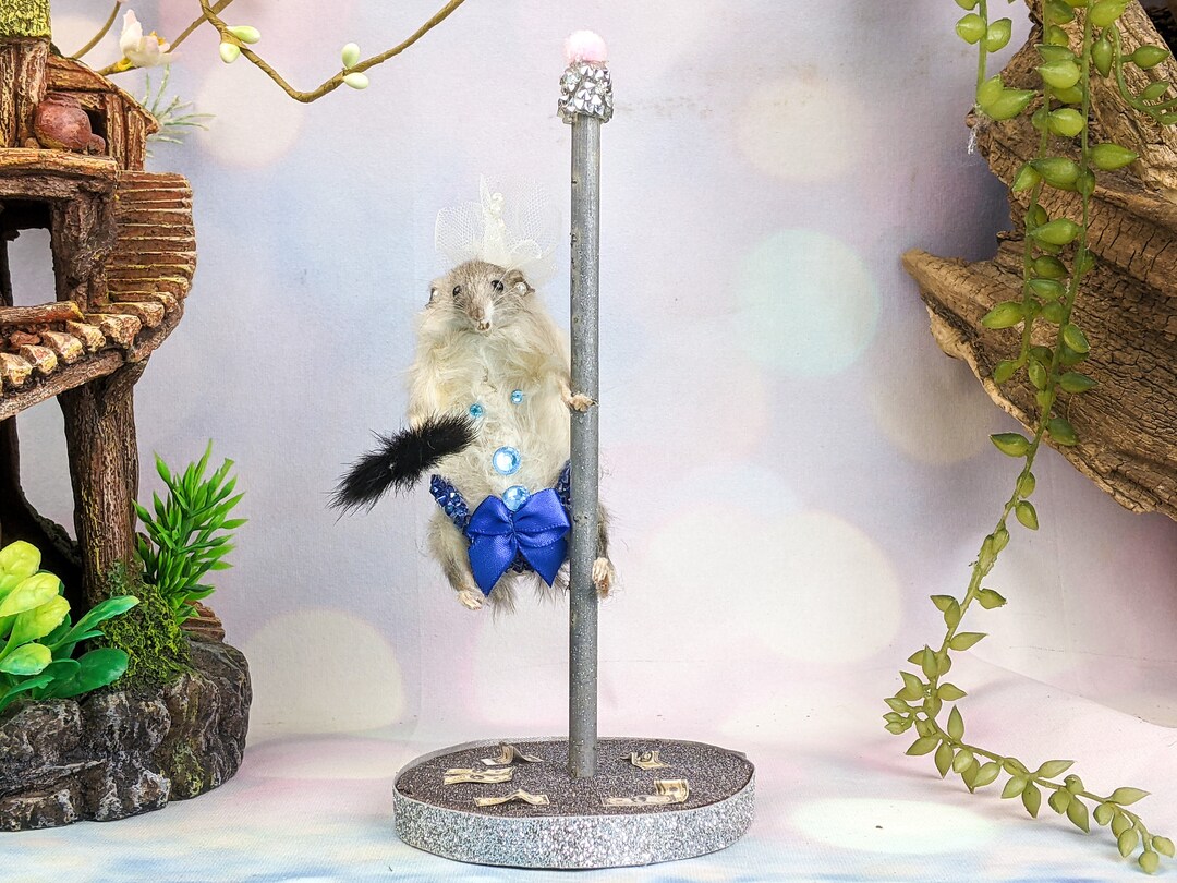 Stripper Mouse Pole Burlesque Showgirl Taxidermy Oddities Curiosities ...