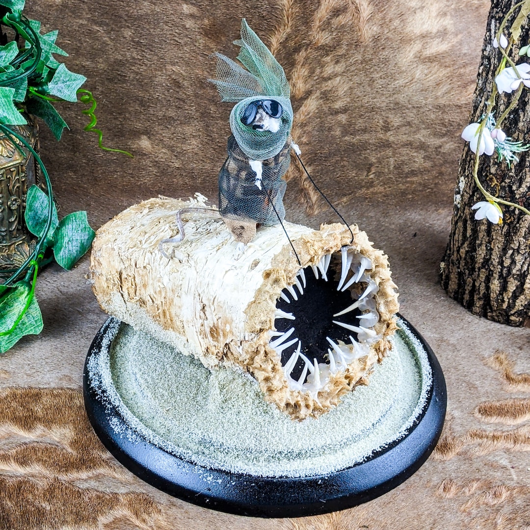 Dune Worm Mouse Taxidermy Anthropomorphic Collectible Curiosities Sci ...