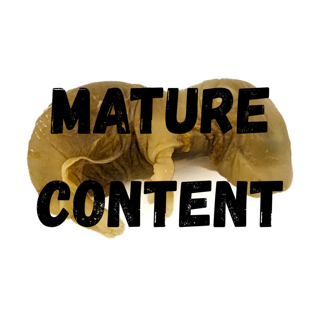 Pinkie Vole Fetal Wet Specimen Oddities Curiosities Collectible ...