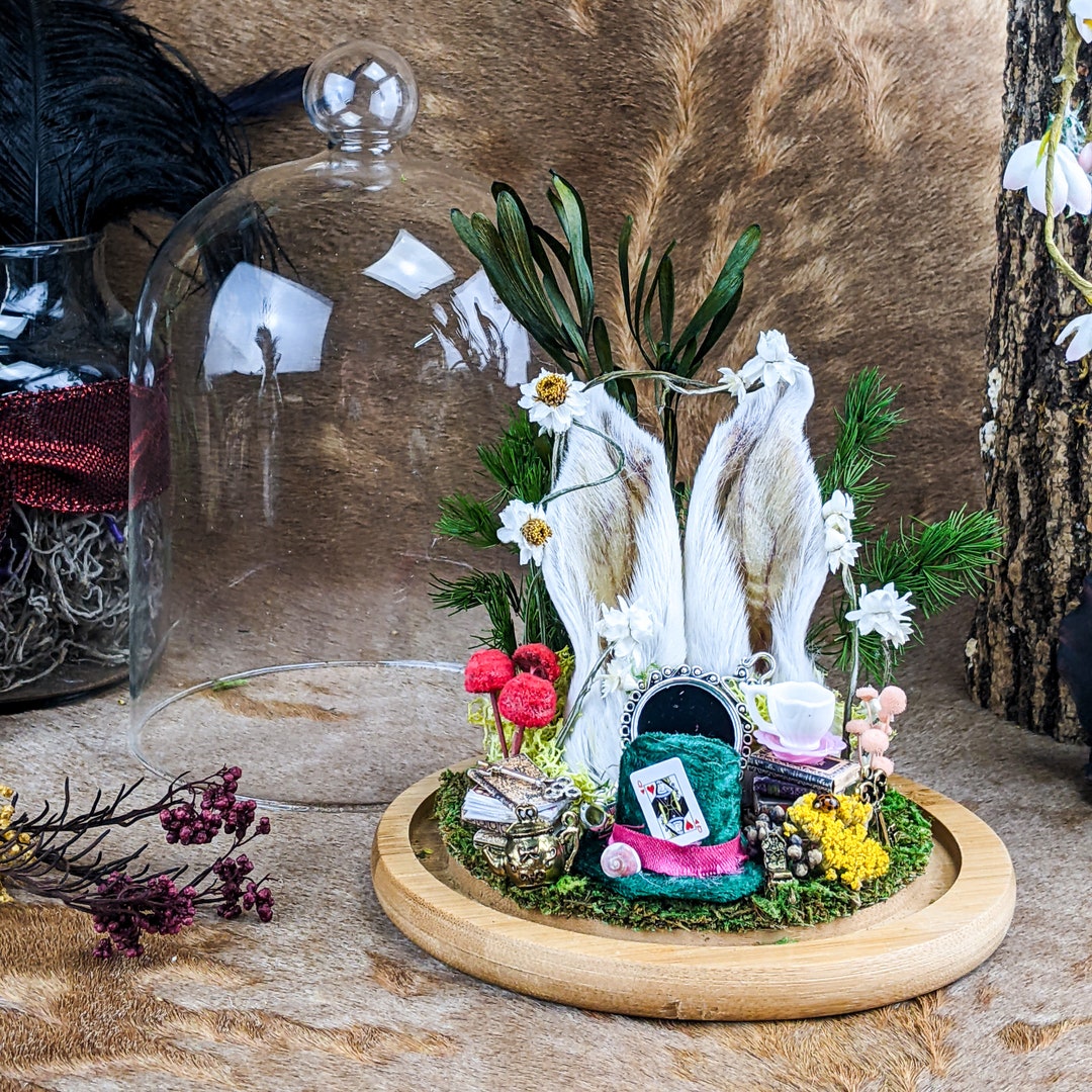 Rabbit Ear Wonderland Glass Dome Display Decor Taxidermy Oddities ...