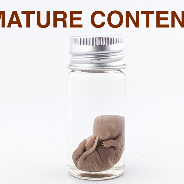 Preserved Fetus - Etsy
