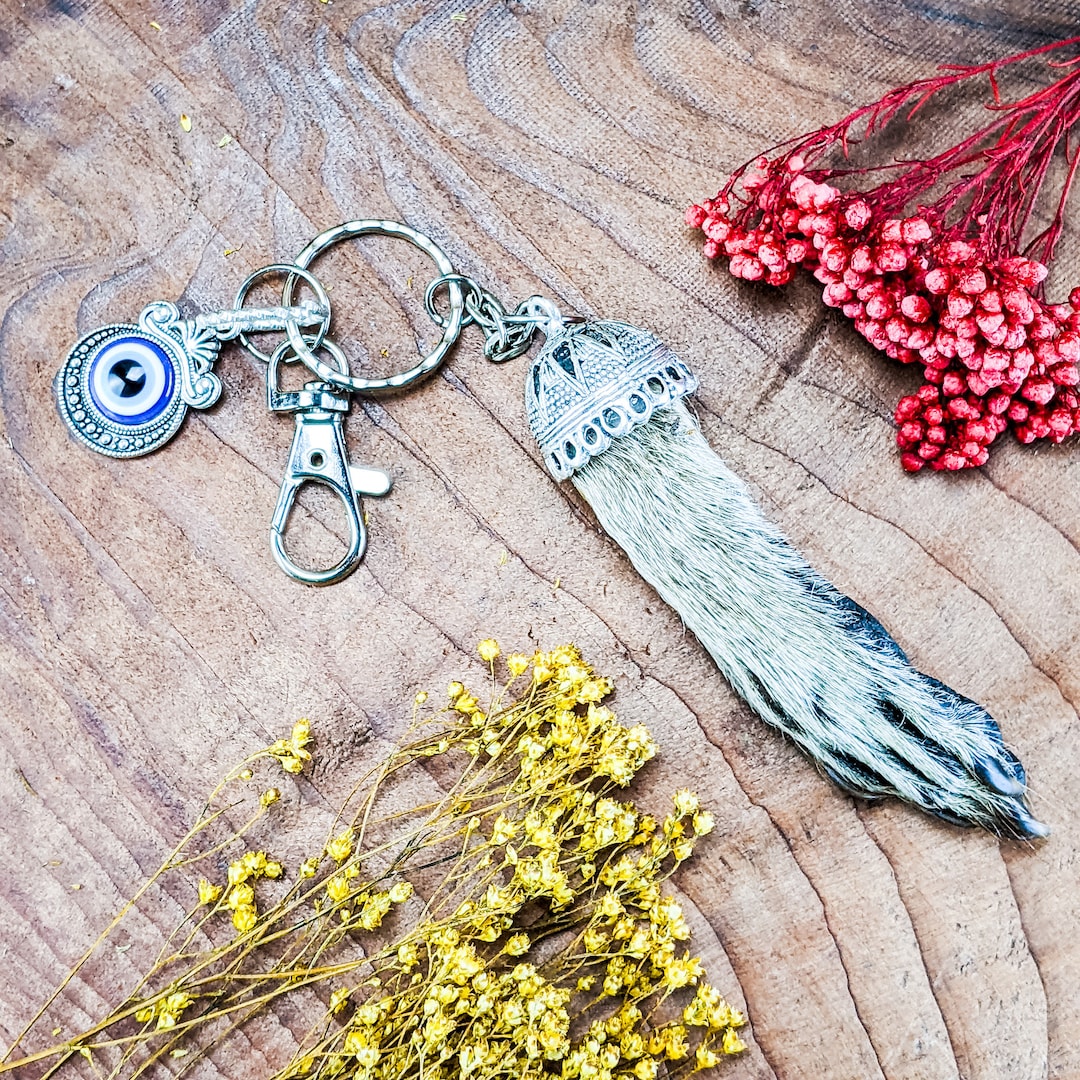 Raccoon Foot W/ Evil or All Seeing Eye Hook Key Chain Taxidermy ...