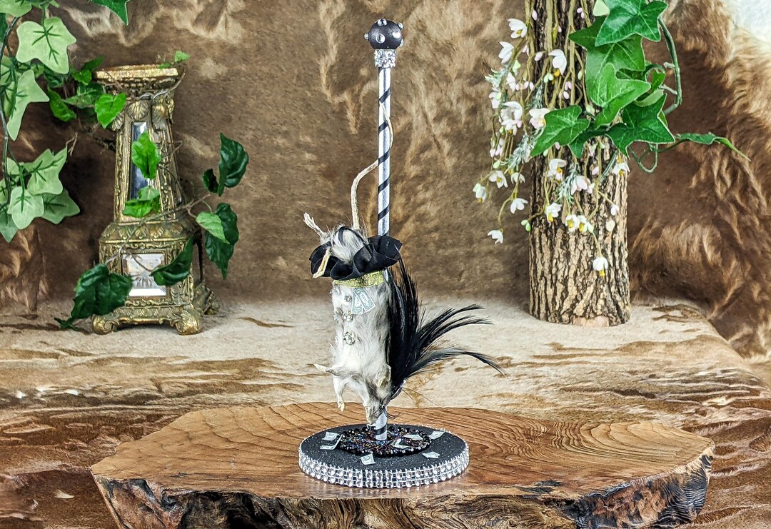 Stripper Mouse Pole Burlesque Showgirl Taxidermy Oddities Curiosities ...
