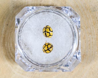 Scenic City Oddities