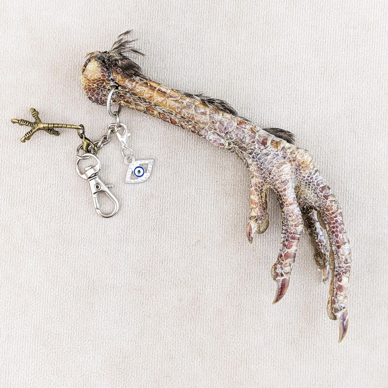 ScenicCityOddities - Etsy