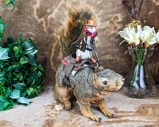 L44m Cowboy Mouse Riding Real Squirrel Cute Taxidermy Oddities ...