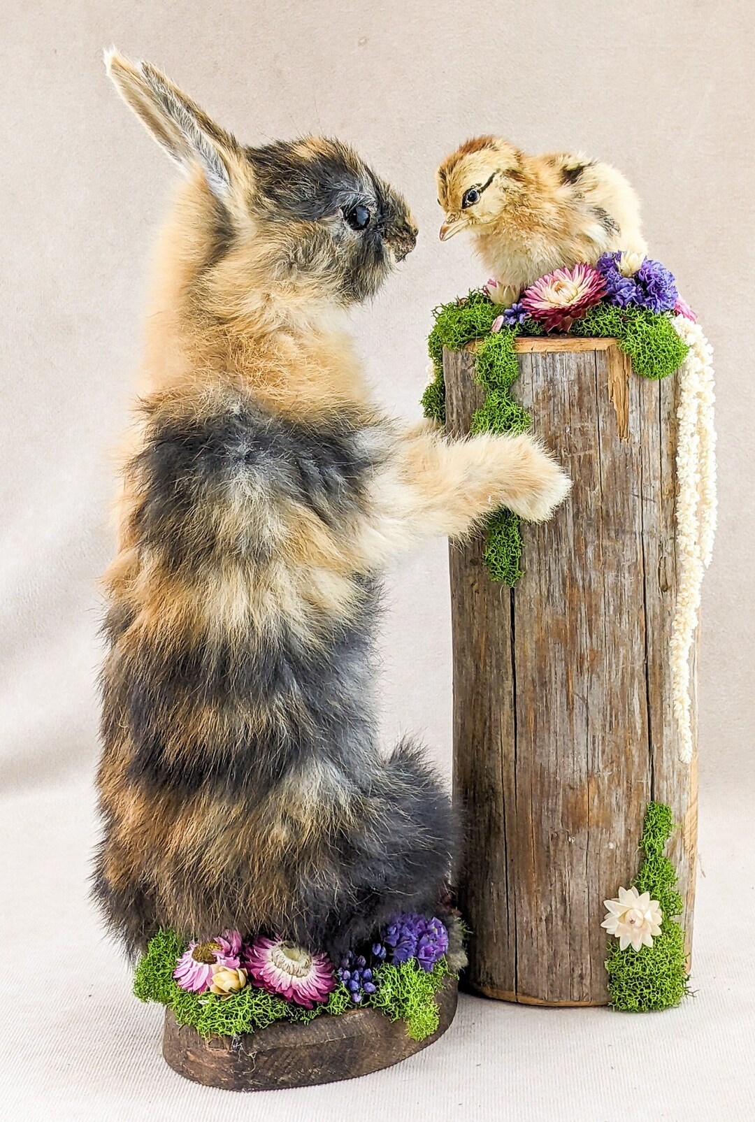 Bunny and Chick Taxidermy Rabbit Stand Cottagecore Decor Whimsical ...