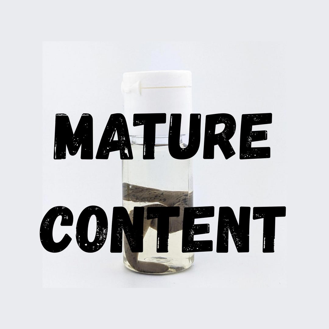 Leech Wet Specimen Collectible Specimen Jar Display Oddity Curiosity ...