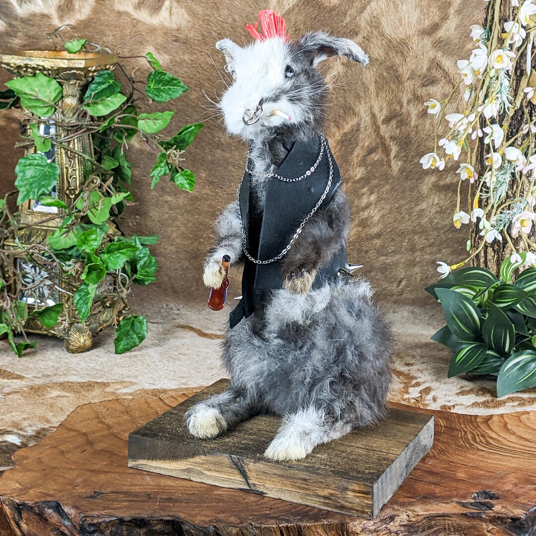 Punk Rabbit Taxidermy Standing Mount Display Oddities Curiosities Rude ...