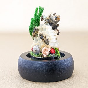 W194e Honey Bee Bees Comb Glass Dome Display Entomology Taxidermy ...