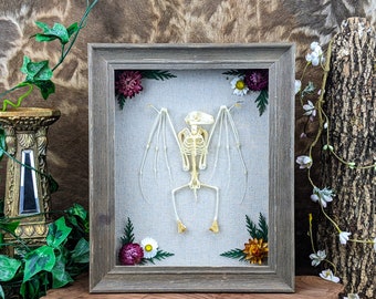 Scenic City Oddities