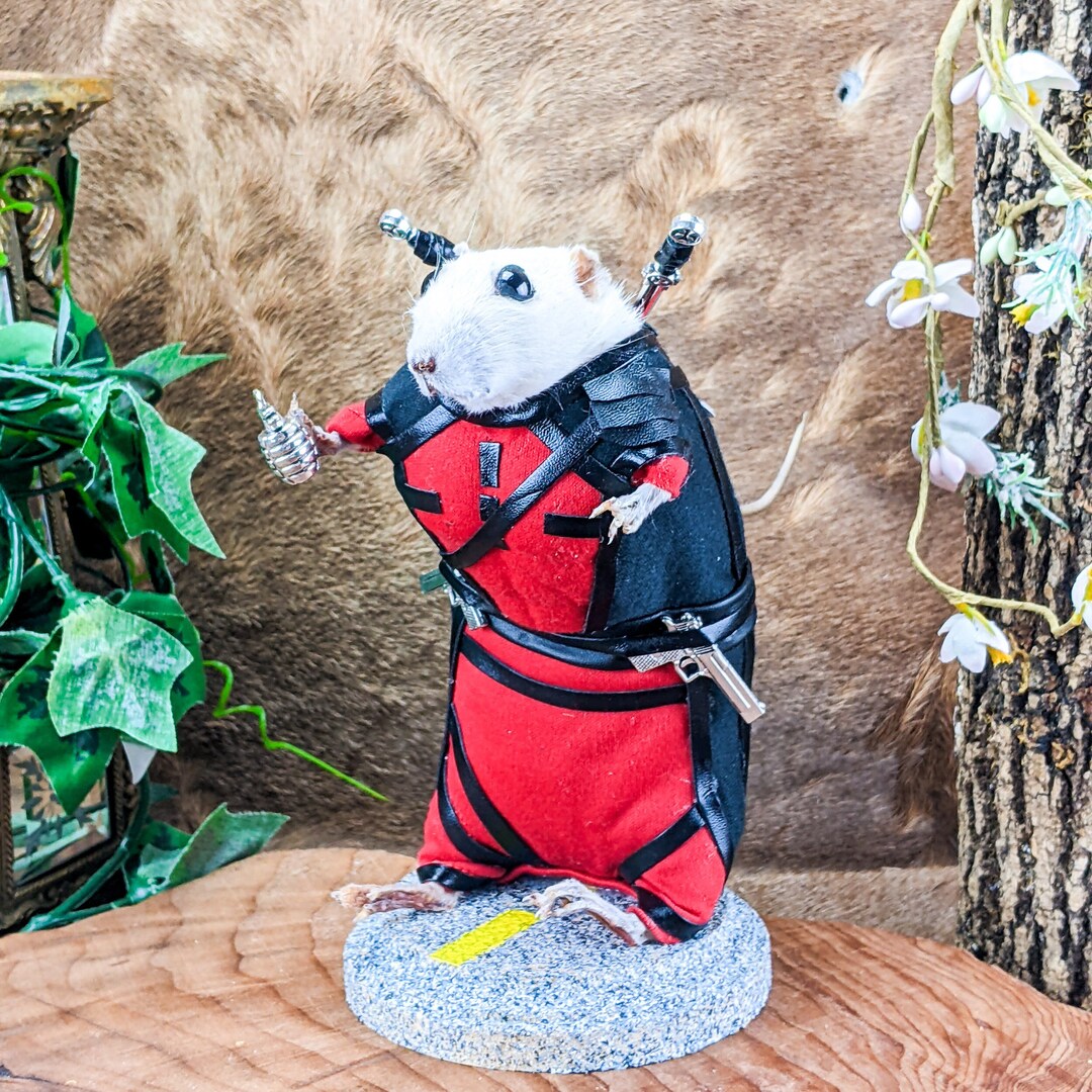 Deadpool Rat Taxidermy Décor Oddities Curiosity Specimen Display ...