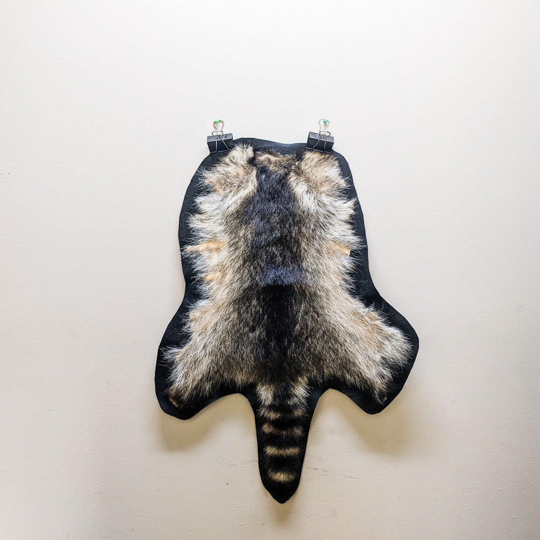Raccoon Pelt Rug Oddities Curiosities Witchcraft Decor Taxidermy ...