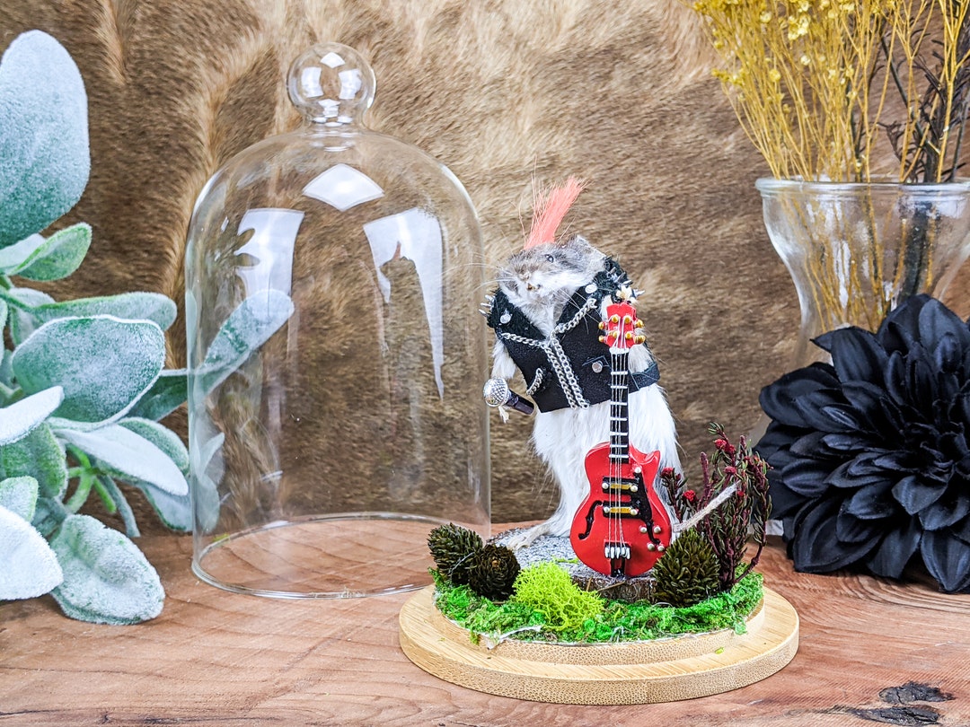 Punk Rock Mouse Cute Taxidermy Oddities Curiosities Mohawk Rocker ...