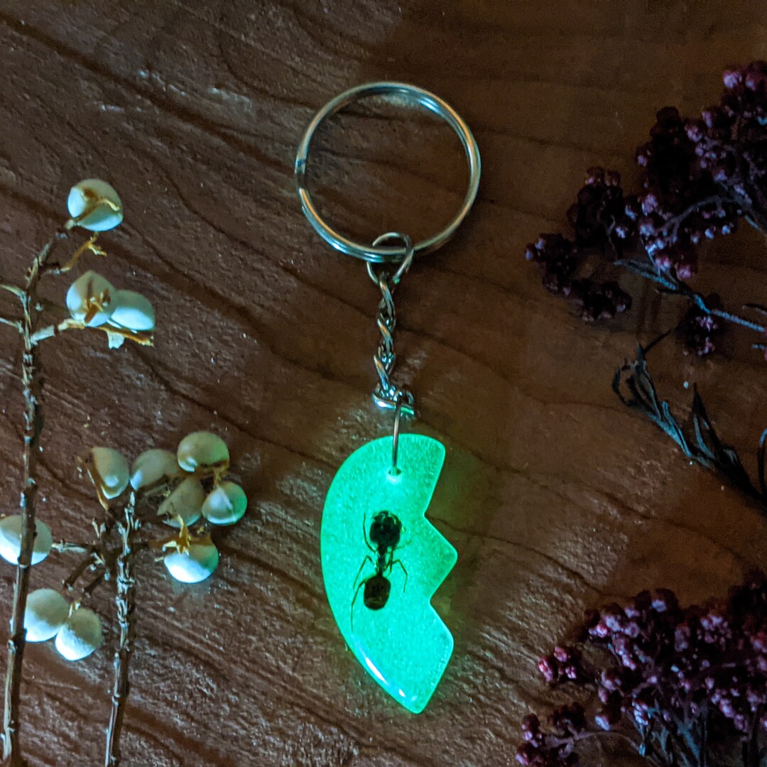 Ant Keychain Half Heart Keychain Glow in the Dark Key Ring Taxidermy ...
