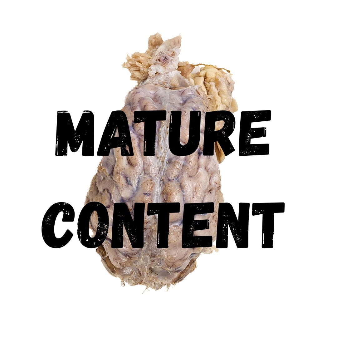 Pig Brain Wet Specimen Preserved Piglet Brain Display Collectible ...