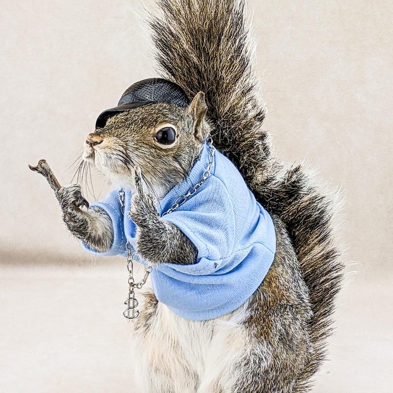 Squirrel Gag - Etsy