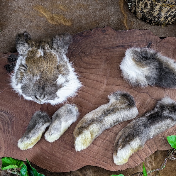 Rabbit Costume Feet - Etsy