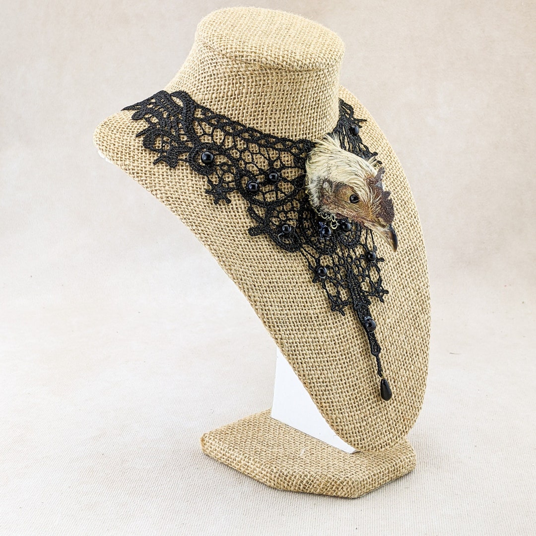 E15l Chicken Head Taxidermy Oddities Curiosities Choker Necklace Gothic ...