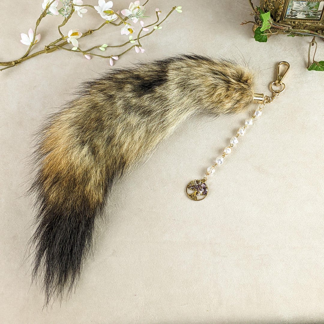 Coyote Tail Key Chain Talisman Purse Coyote Charms Taxidermy Oddities ...