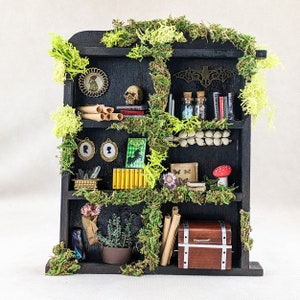 Fairy Bookcase Haunted Witches Cabinet Miniature Spooky Oddities ...