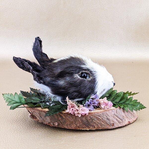 Bunny Rabbit Head - Etsy