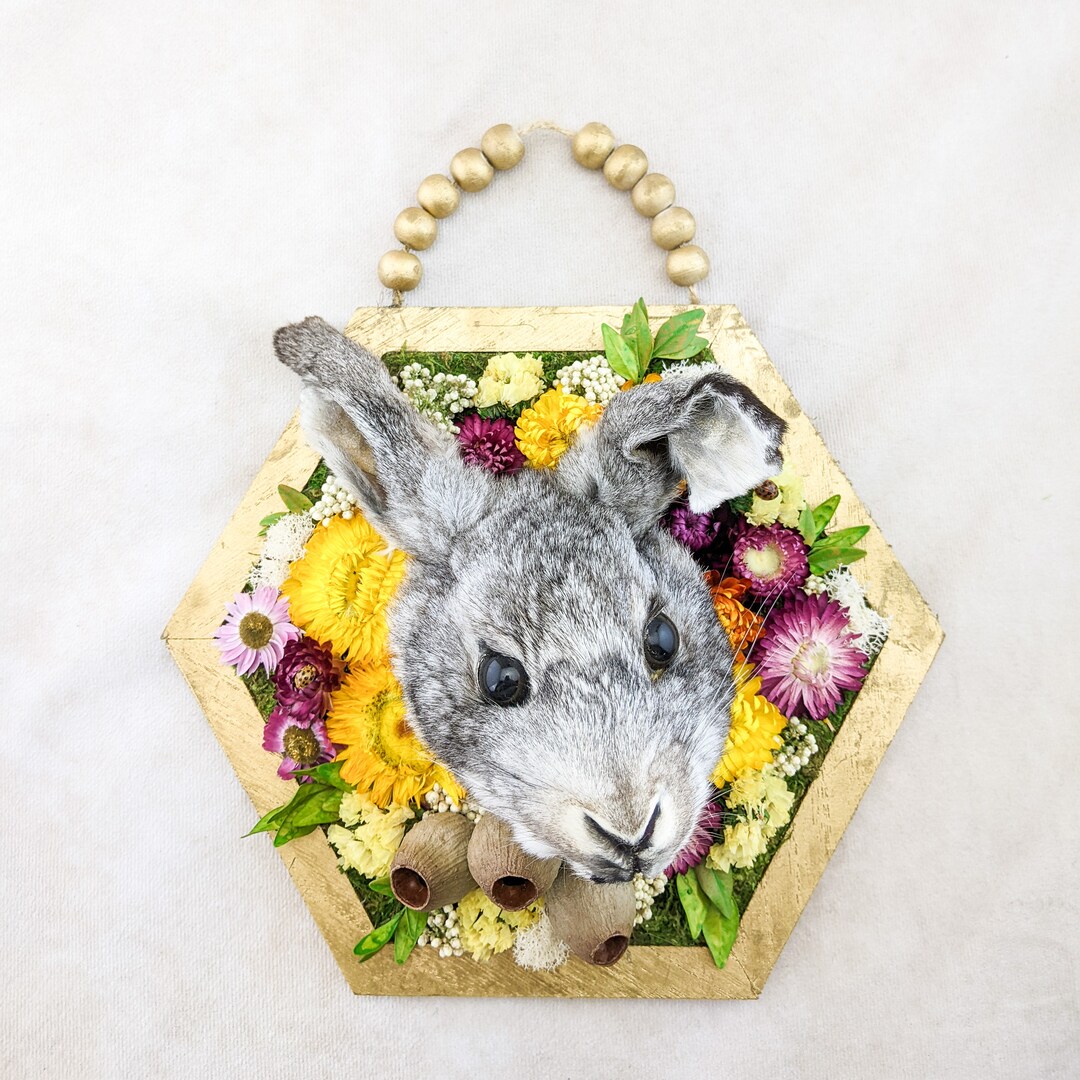 Rabbit Head Hanging Display Collectible Taxidermy Curiosities Oddities ...