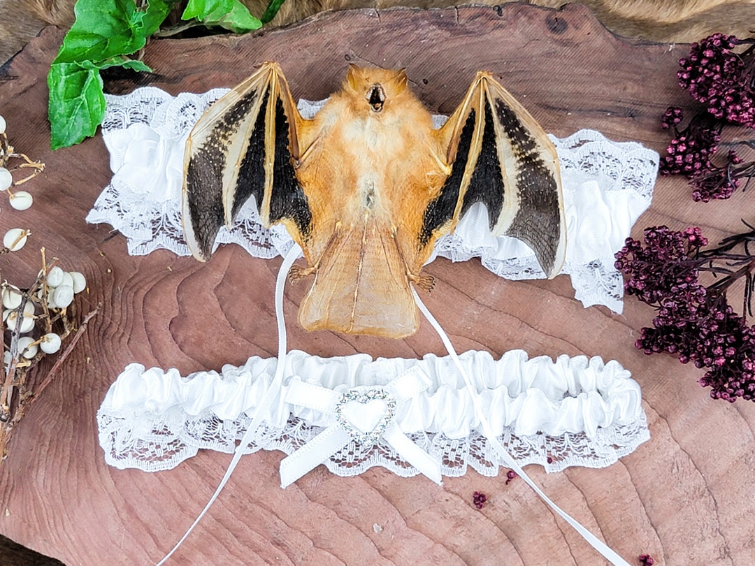 Garter Pair Real Bat Specimen Bride & Groom White Wedding Toss ...