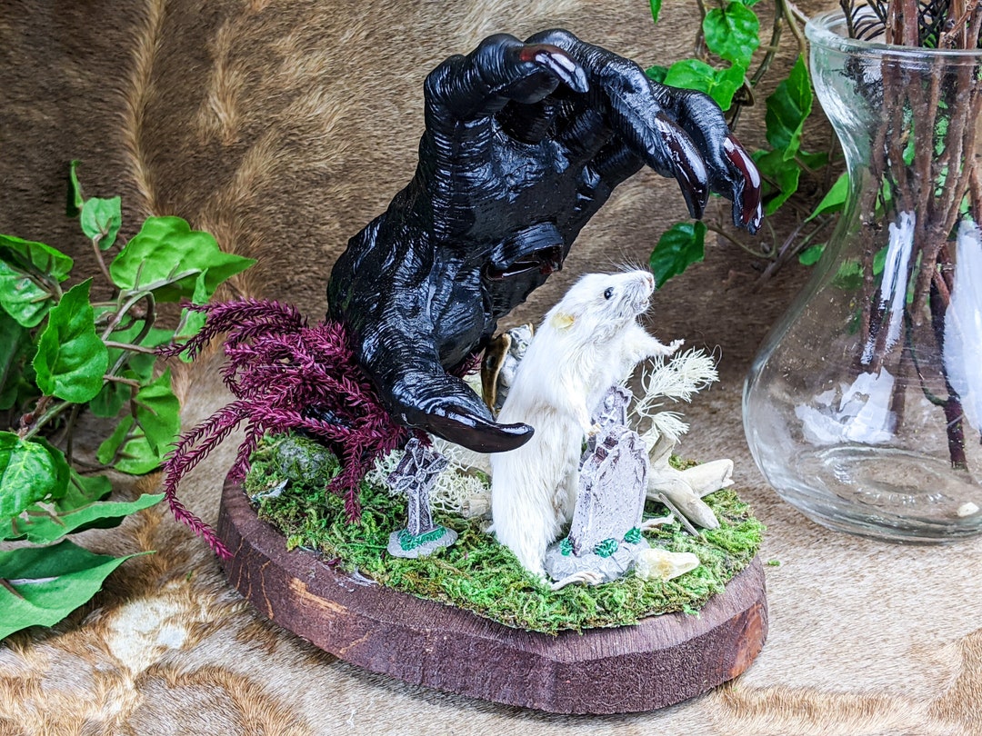 Zombie Witch Hand & Real Mouse Display Decor Preserved Specimen Spooky ...