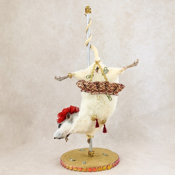 Taxidermy Burlesque - Etsy