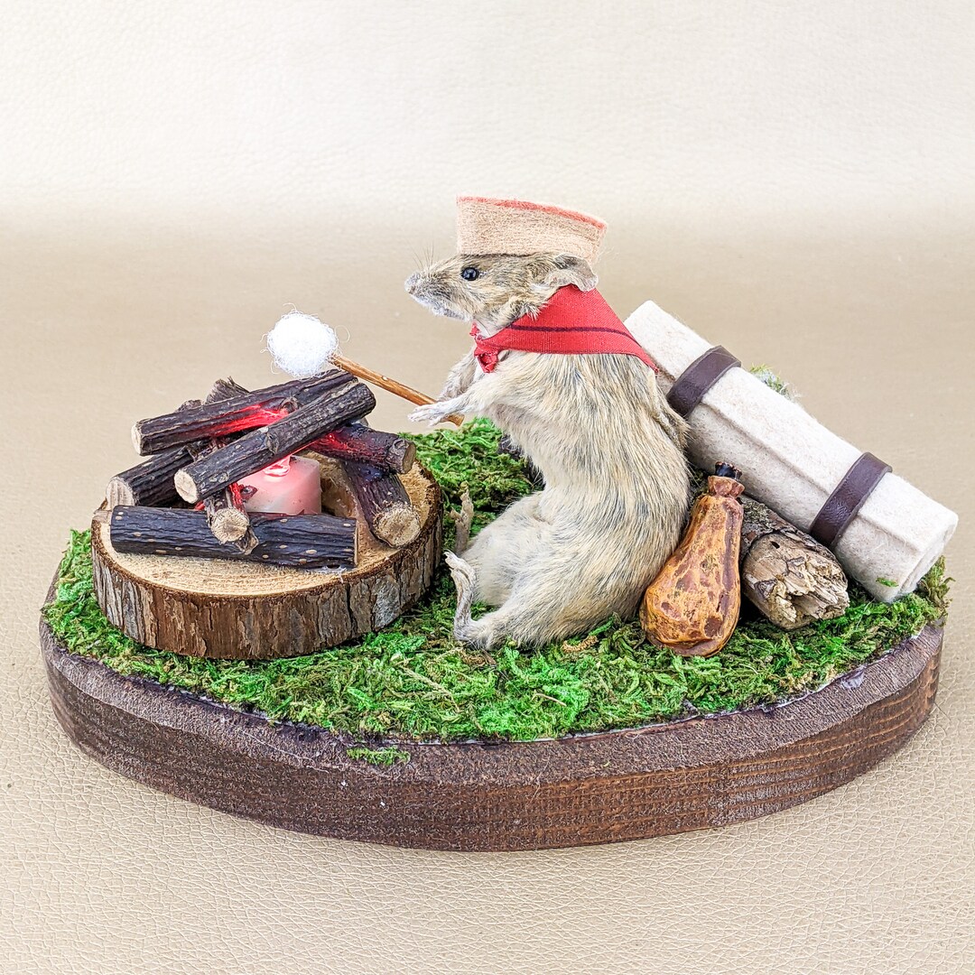 S34s Boy Scout Mouse Outdoors Campfire Hiking Be Prepared Taxidermy ...
