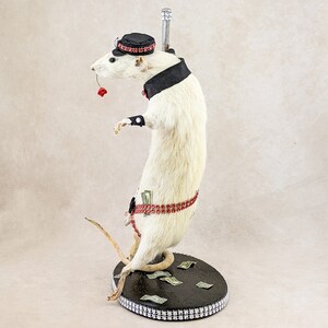 V36i Stripper Rat Pole Burlesque Male Taxidermy Oddities Curiosities ...