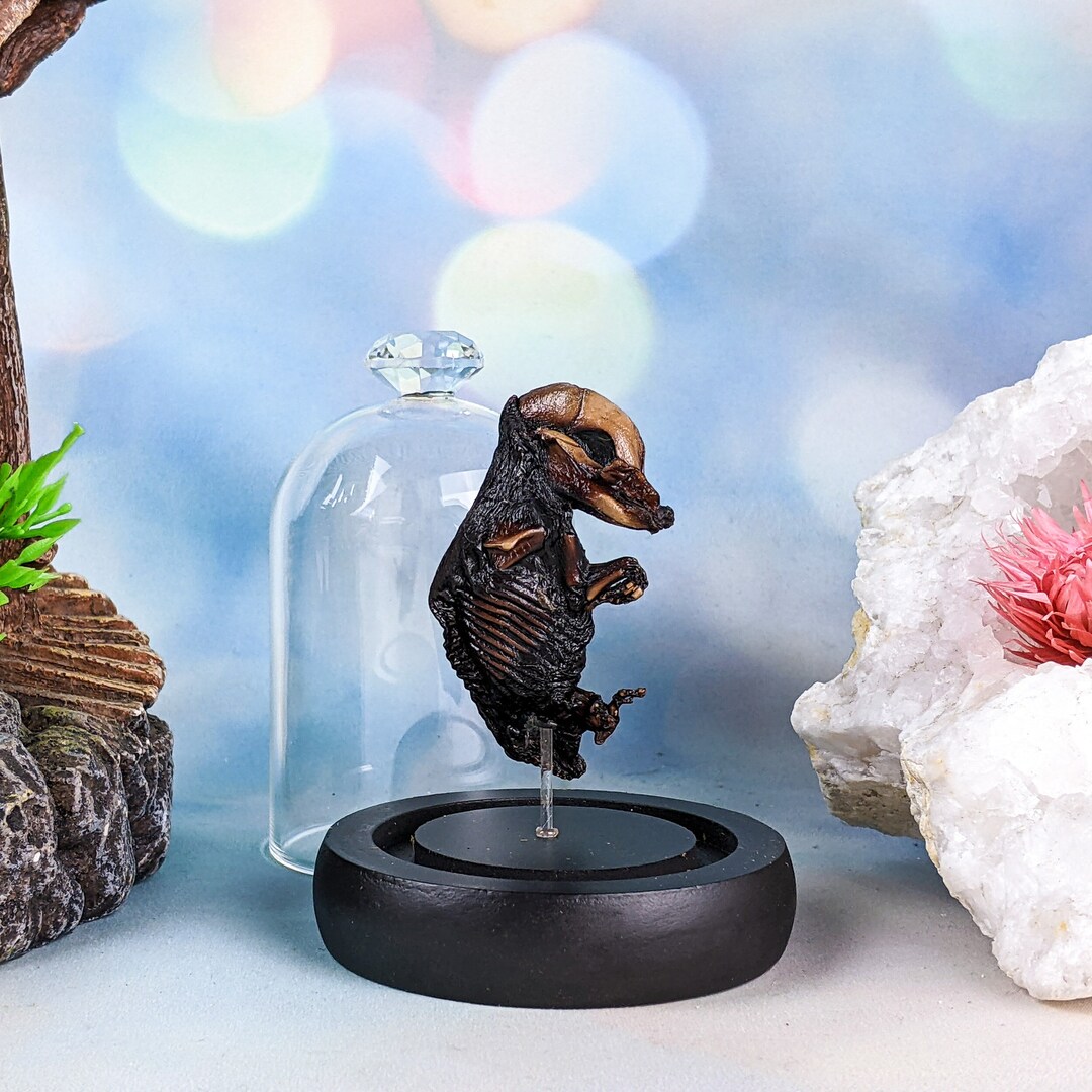 Fetal Pig Taxidermy Mummified Glass Dome Display Taxidermy Oddities ...