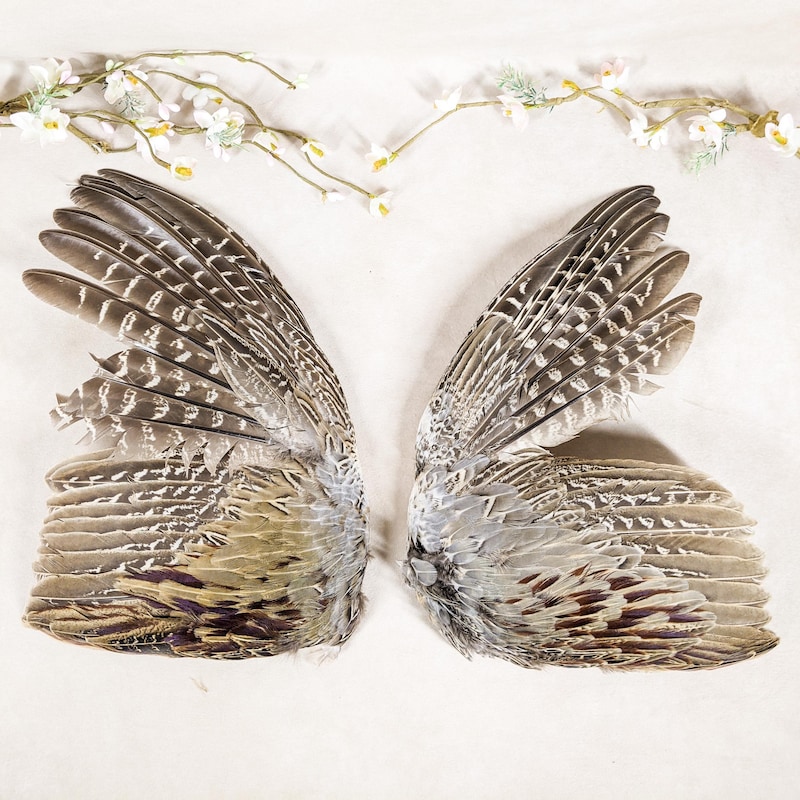 Pheasant Prop - Etsy
