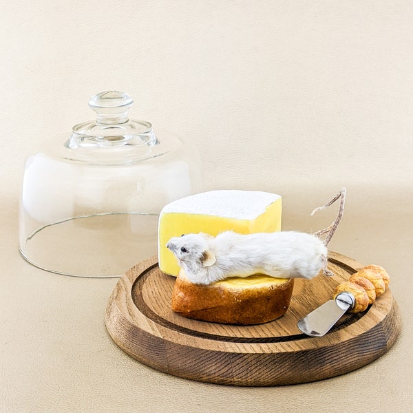 Cheese Display - Etsy
