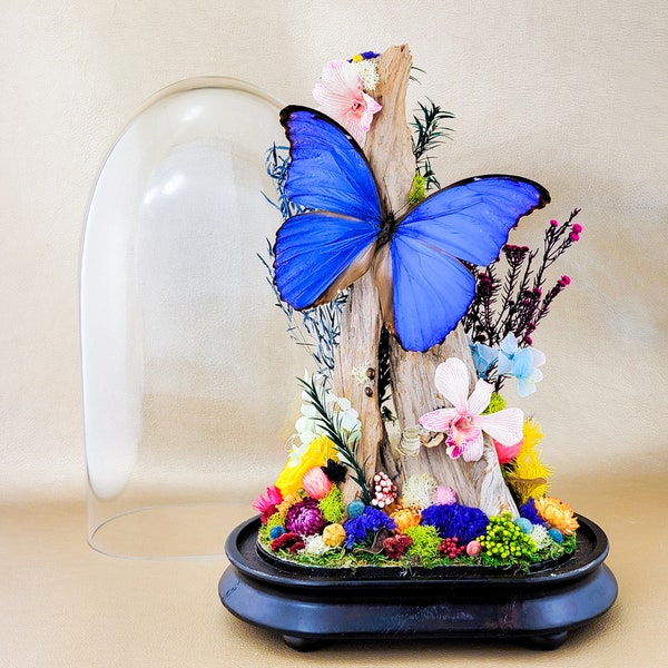 Victorian Butterfly Dome - Etsy