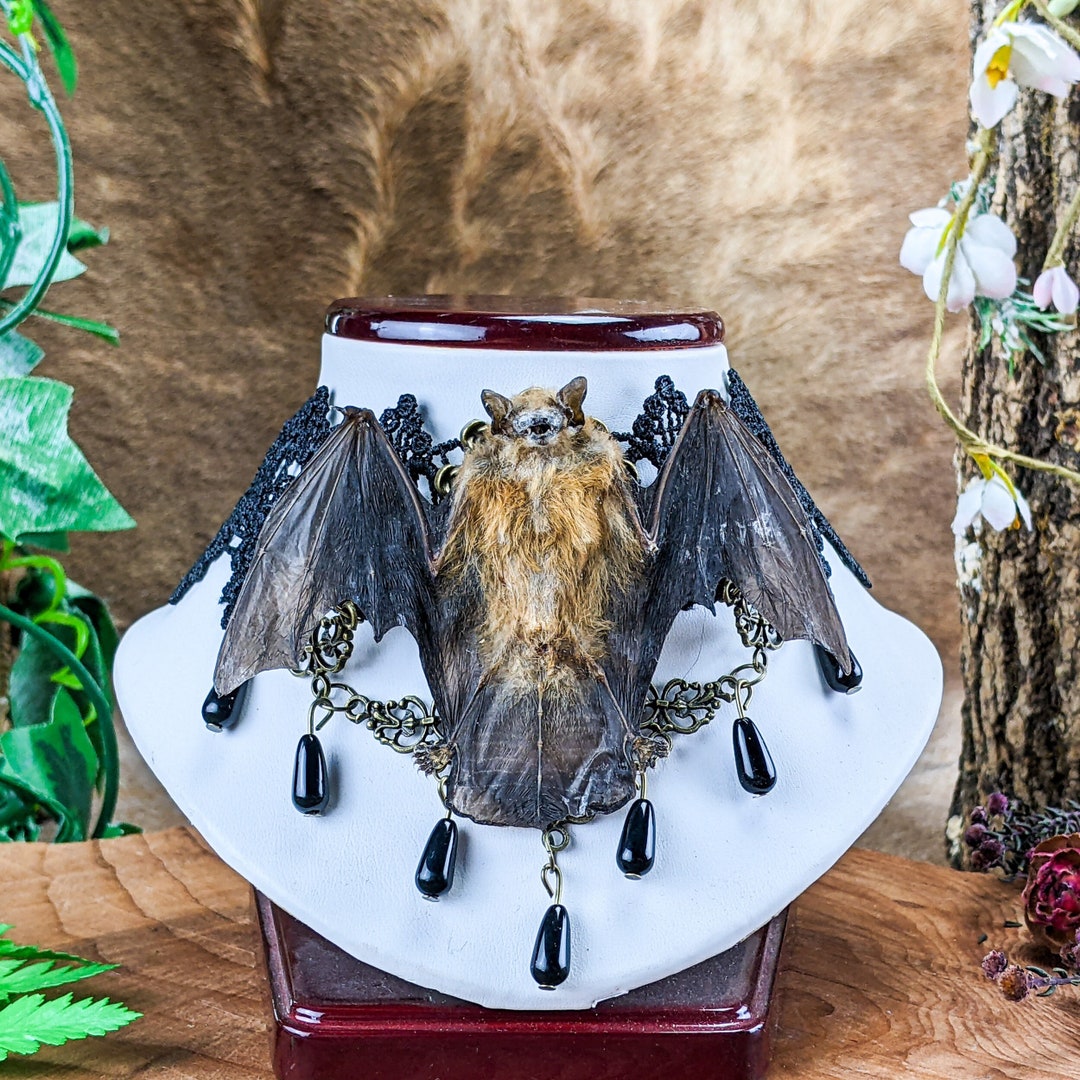 Bat Choker Taxidermy TR Oddities Curiosities Necklace Jewelry ...