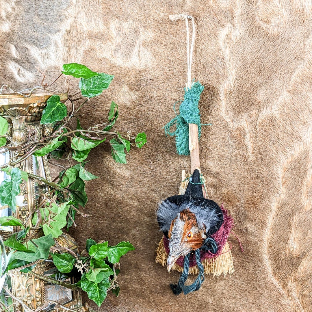 Chicken Witch Broom Display Taxidermy Oddities Curiosities Wall Decor ...