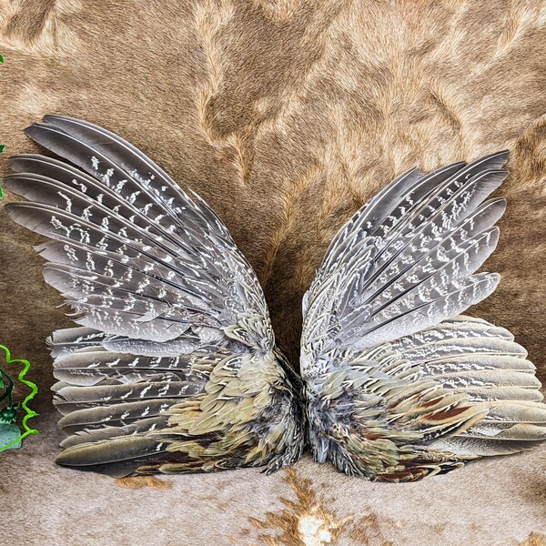 Bird Wing Costume - Etsy