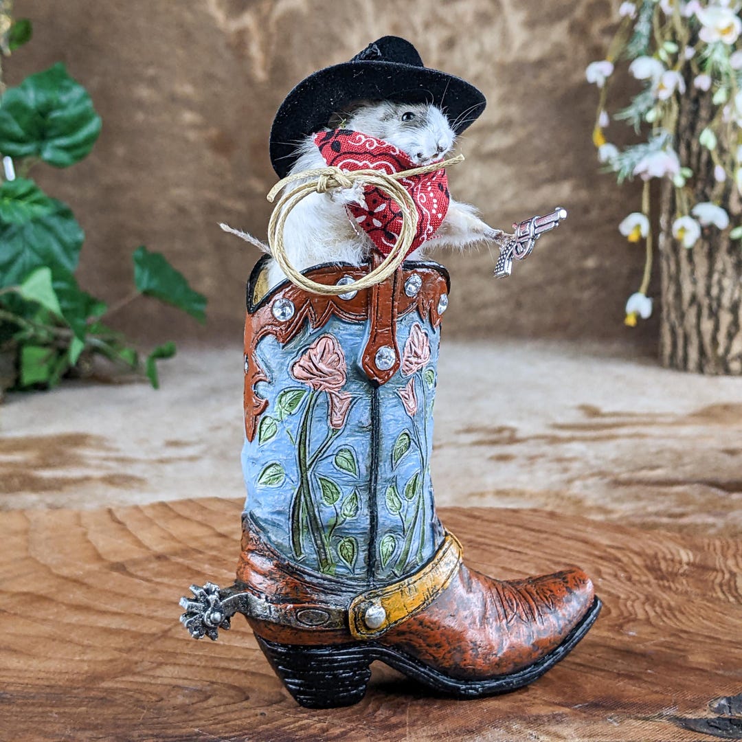 Cowboy Mouse in Boot Display Cute Taxidermy Oddities Curiosities Lasso ...