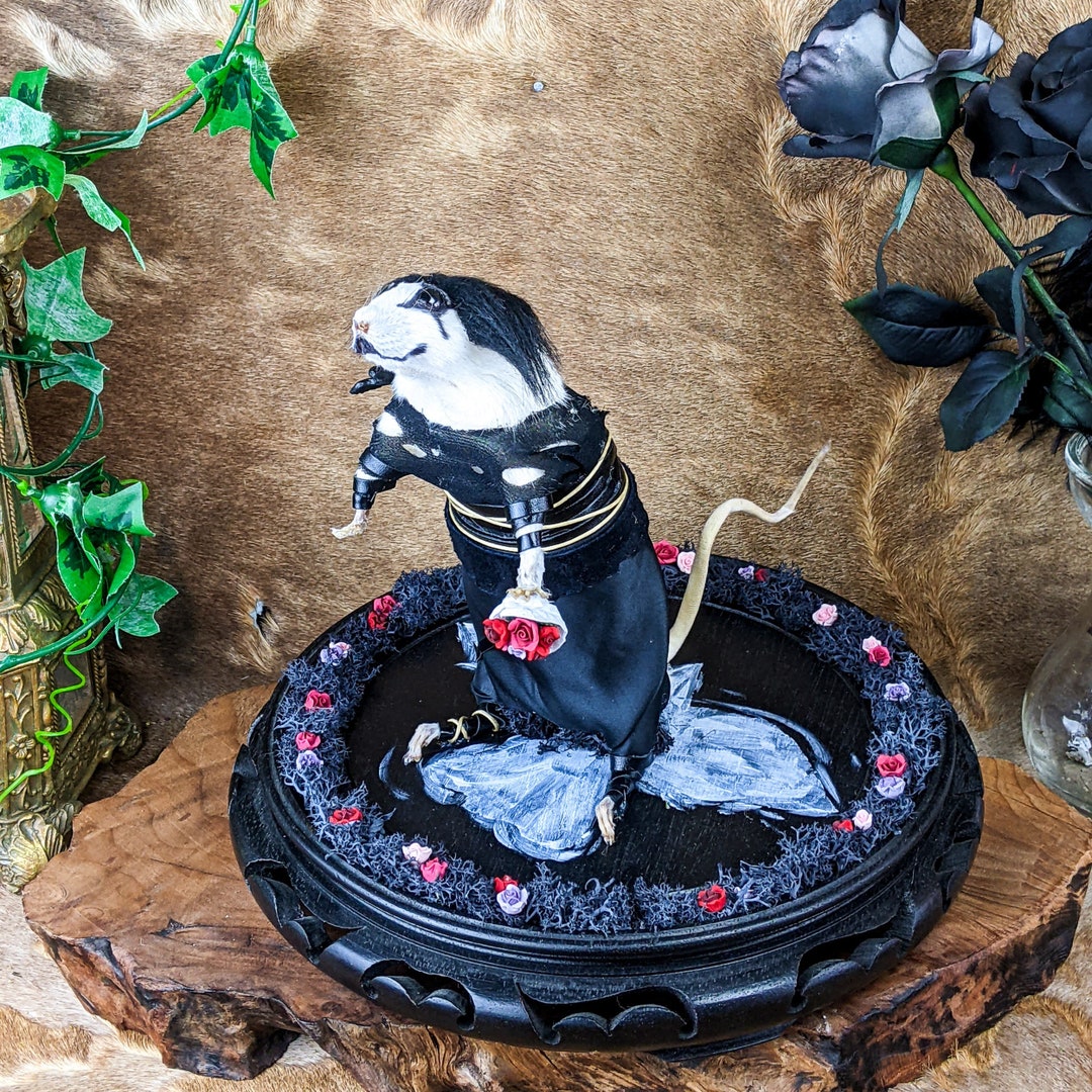 The Crow Rat With Roses Taxidermy Display Stand Preserved Specimen ...