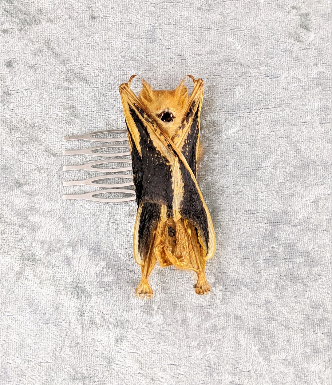 Bat Hair Barrett Taxidermy Gothic Fantasy Pagan Voodoo Witch Comb ...