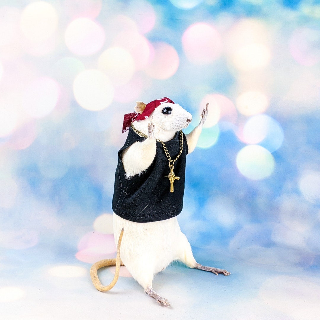 Rat Thug Flipping Bird Give Finger Taxidermy Curiosities Oddities ...