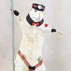 V36i Stripper Rat Pole Burlesque Male Taxidermy Oddities Curiosities ...