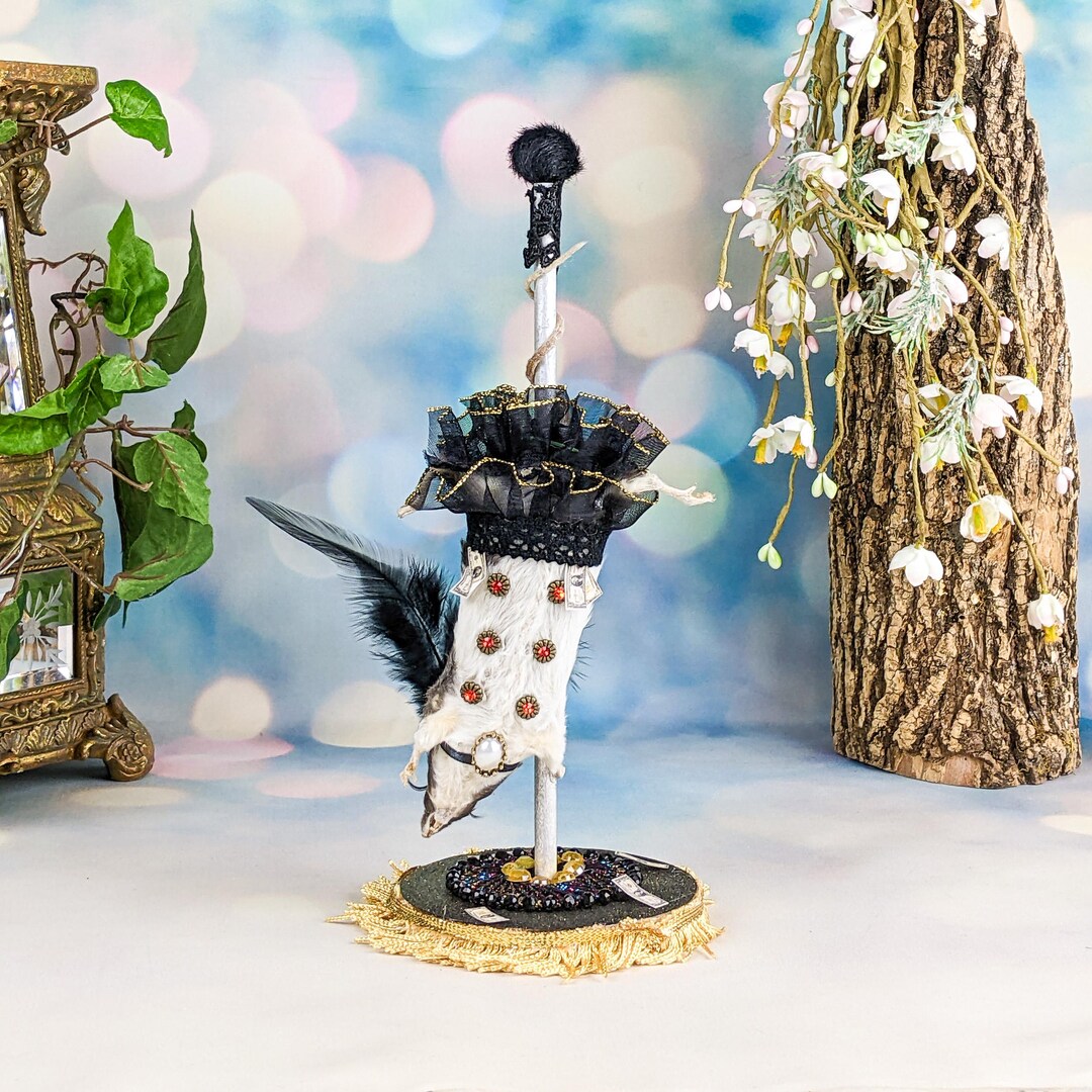 Stripper Mouse Pole Burlesque Showgirl Taxidermy Oddities Curiosities ...