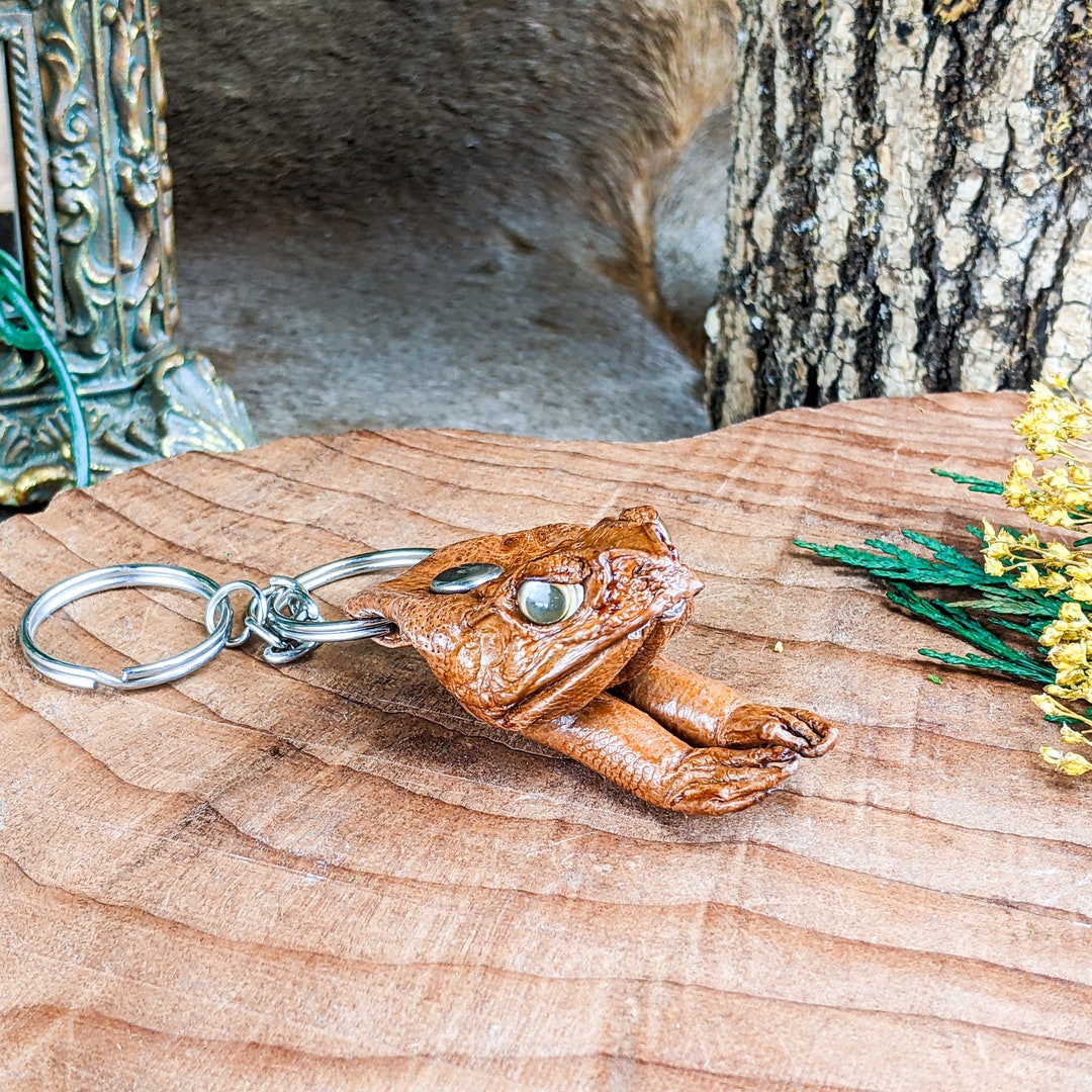 G59b Cane Frog Keychain Taxidermy Talisman Oddities - Etsy