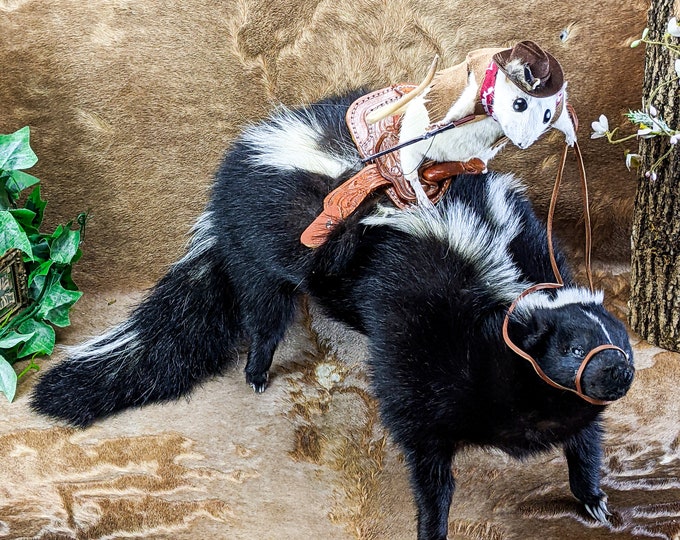 Br10 Cowboy Rat and Skunk Wild West Taxidermy Oddities Curiosities ...